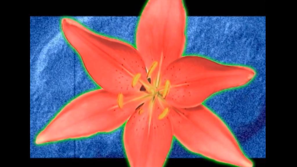 Around Perception - NFB