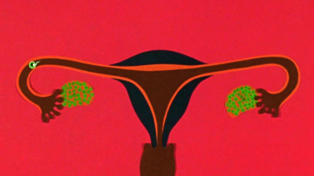 Out of the Vault - NFB