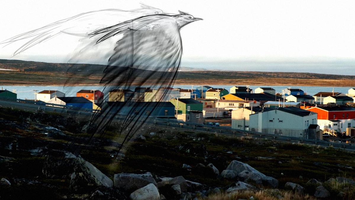 Timuti (Version française) par Jobie Weetaluktuk - ONF