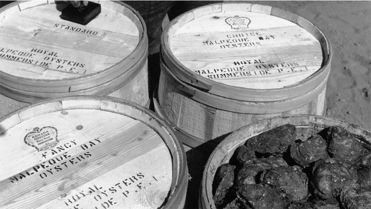 Oyster Man by Julian Biggs, Jean Palardy - NFB