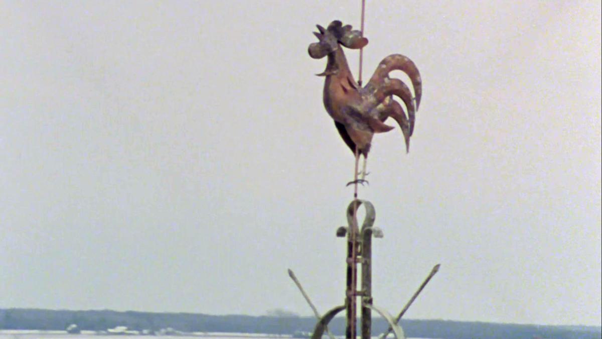 Le Coq de clocher by Claire Boyer - NFB