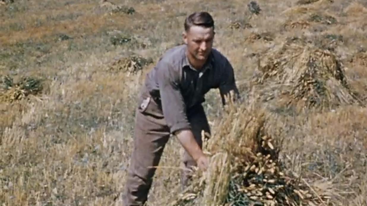 The Hutterites - NFB