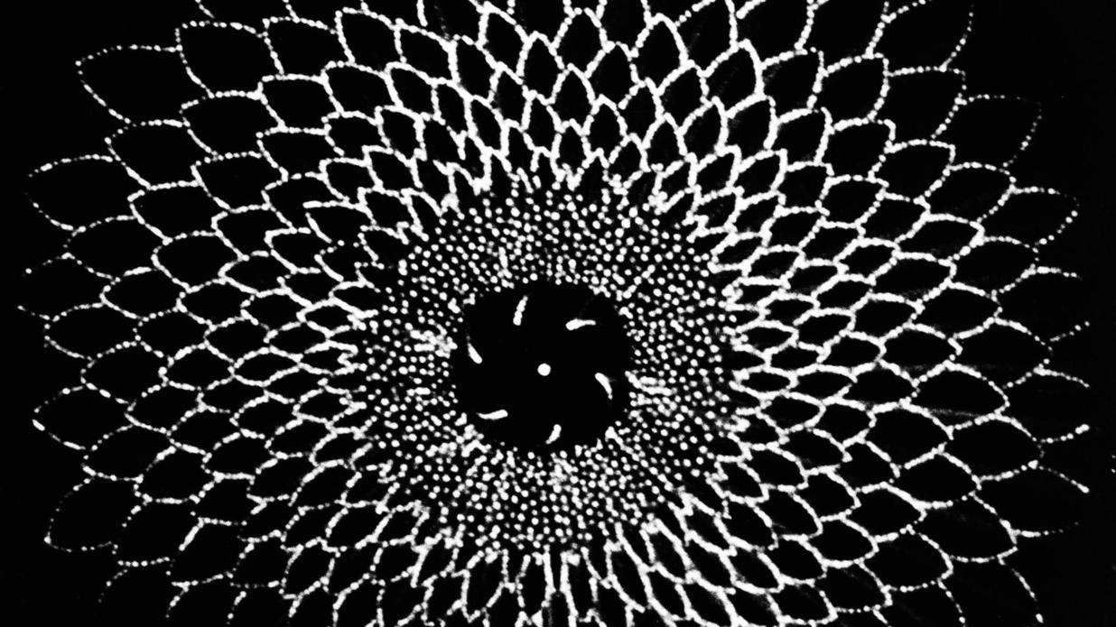 Zikkaron - ONF