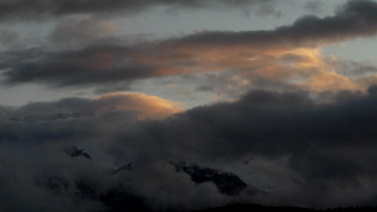 High Grass Circus - ONF