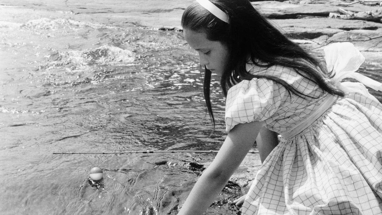 Fernand Dansereau - ONF