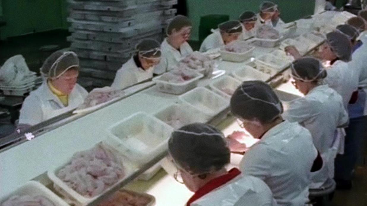 L'Acadie, l'Acadie?!? - ONF