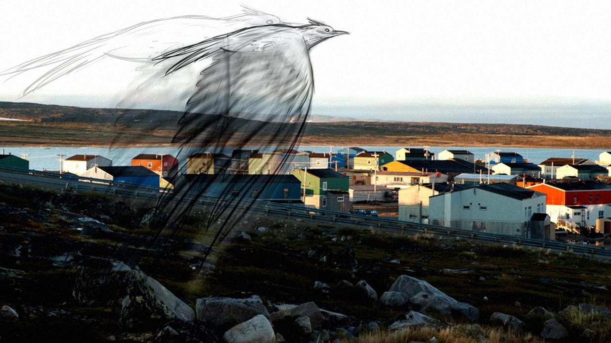 Arctic Defenders - NFB