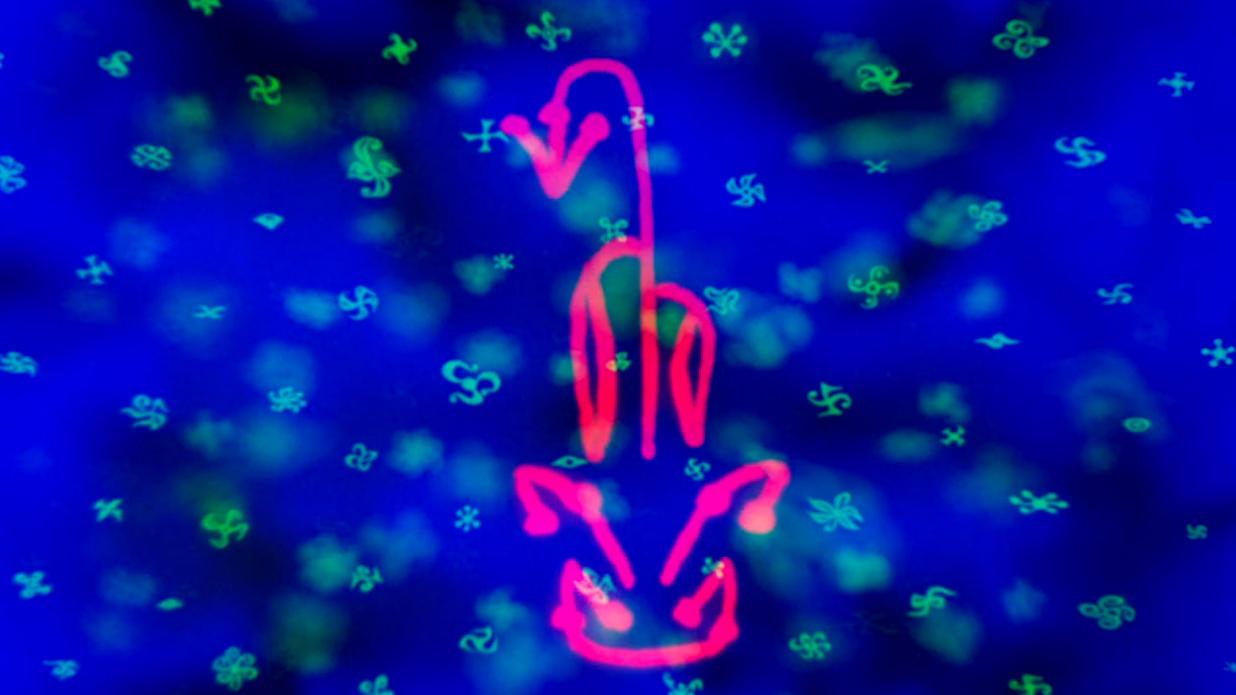 Lost Action: Trace - NFB