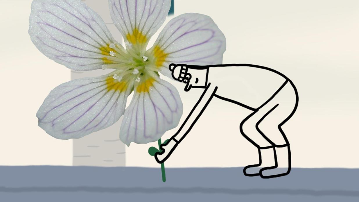 Indigenous-Made Animation Films - NFB