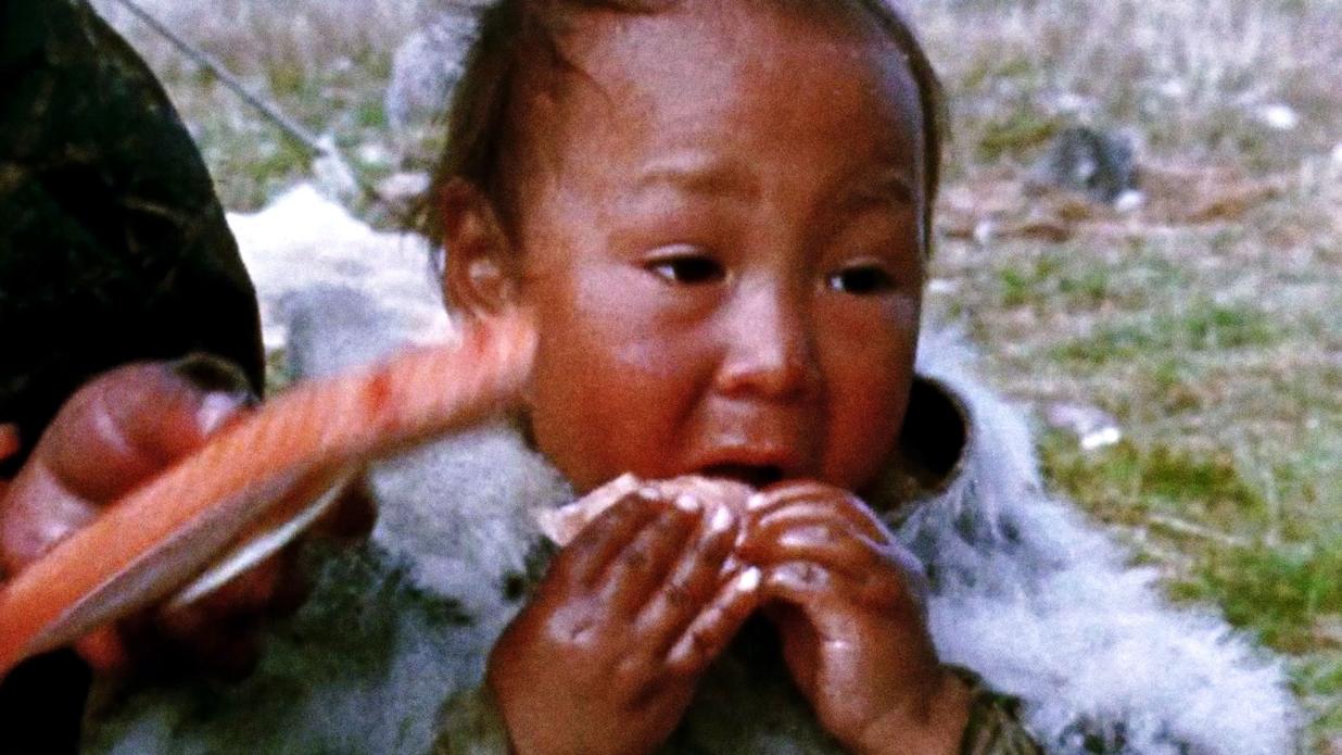 Tuktu and his Eskimo Dogs - NFB