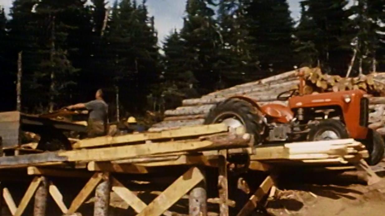 Log Drive - NFB