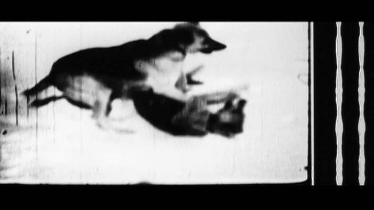 Lost Action: Trace - NFB