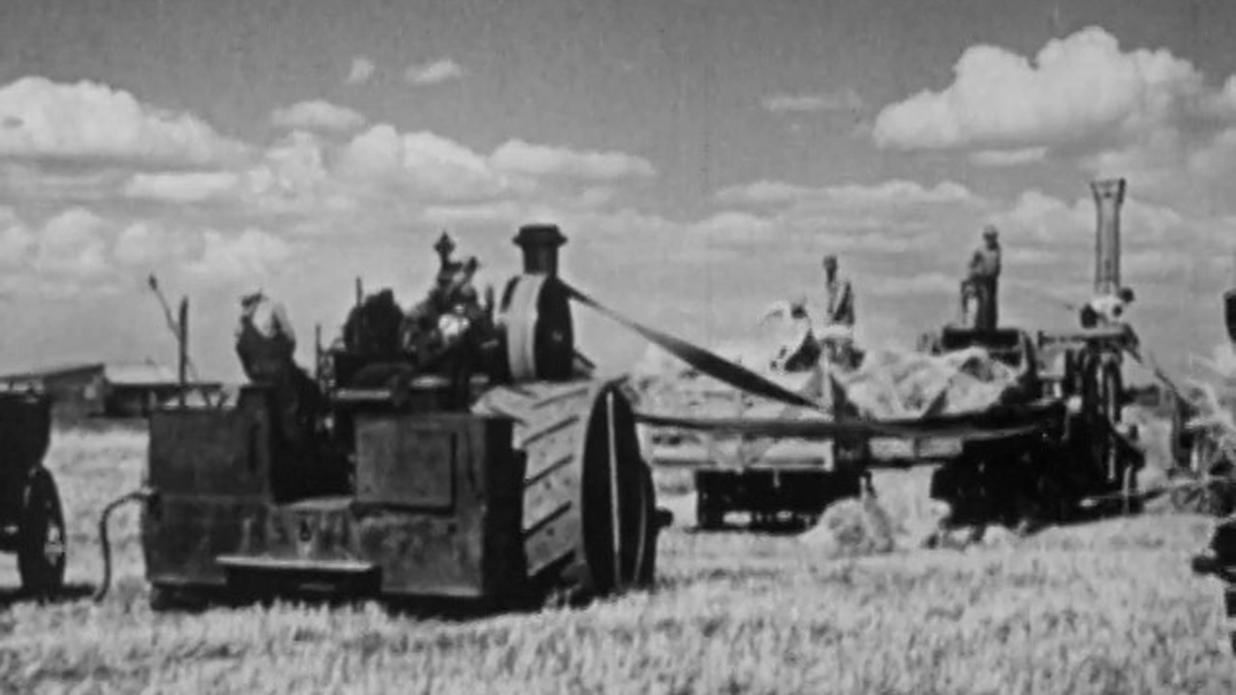 John McCrae's War: In Flanders Fields - NFB