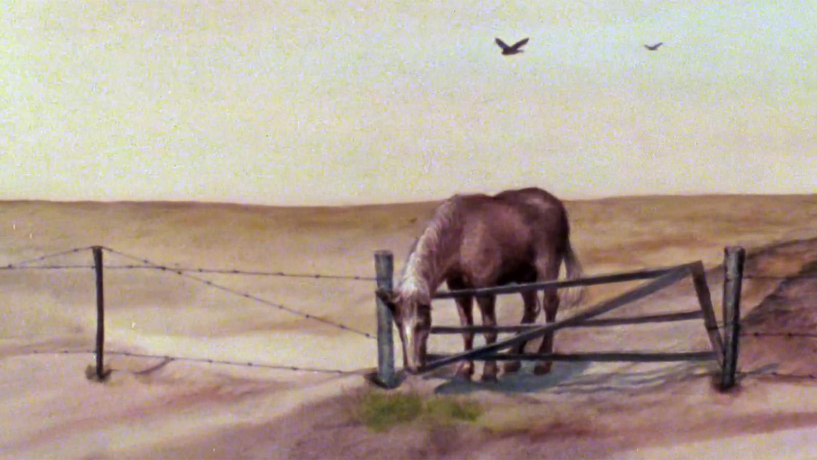 The Thirties - NFB Collection