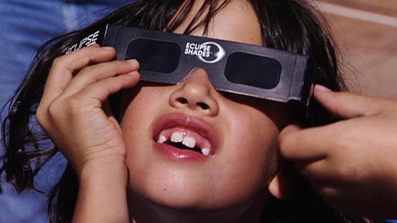 Shadow Chasers - NFB Collection