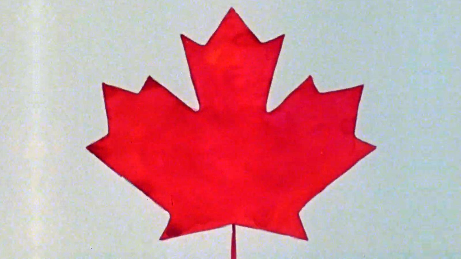 The Maple Leaf - NFB Collection