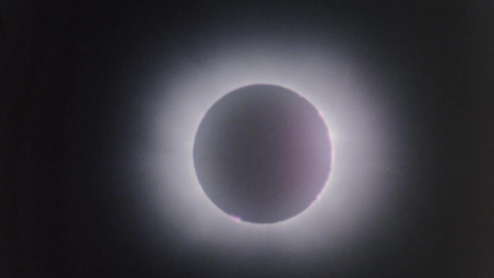 Chasing The Eclipse Nfb Collection