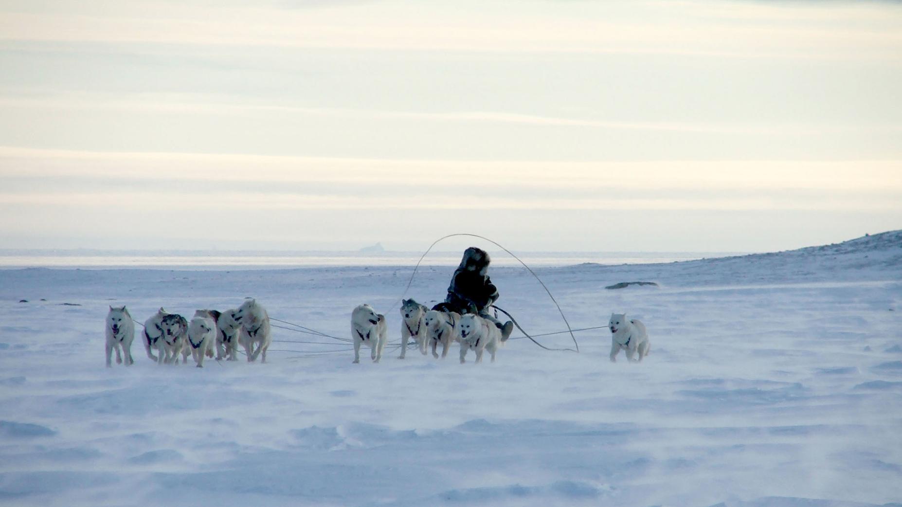 Qimmit: A Clash of Two Truths - NFB