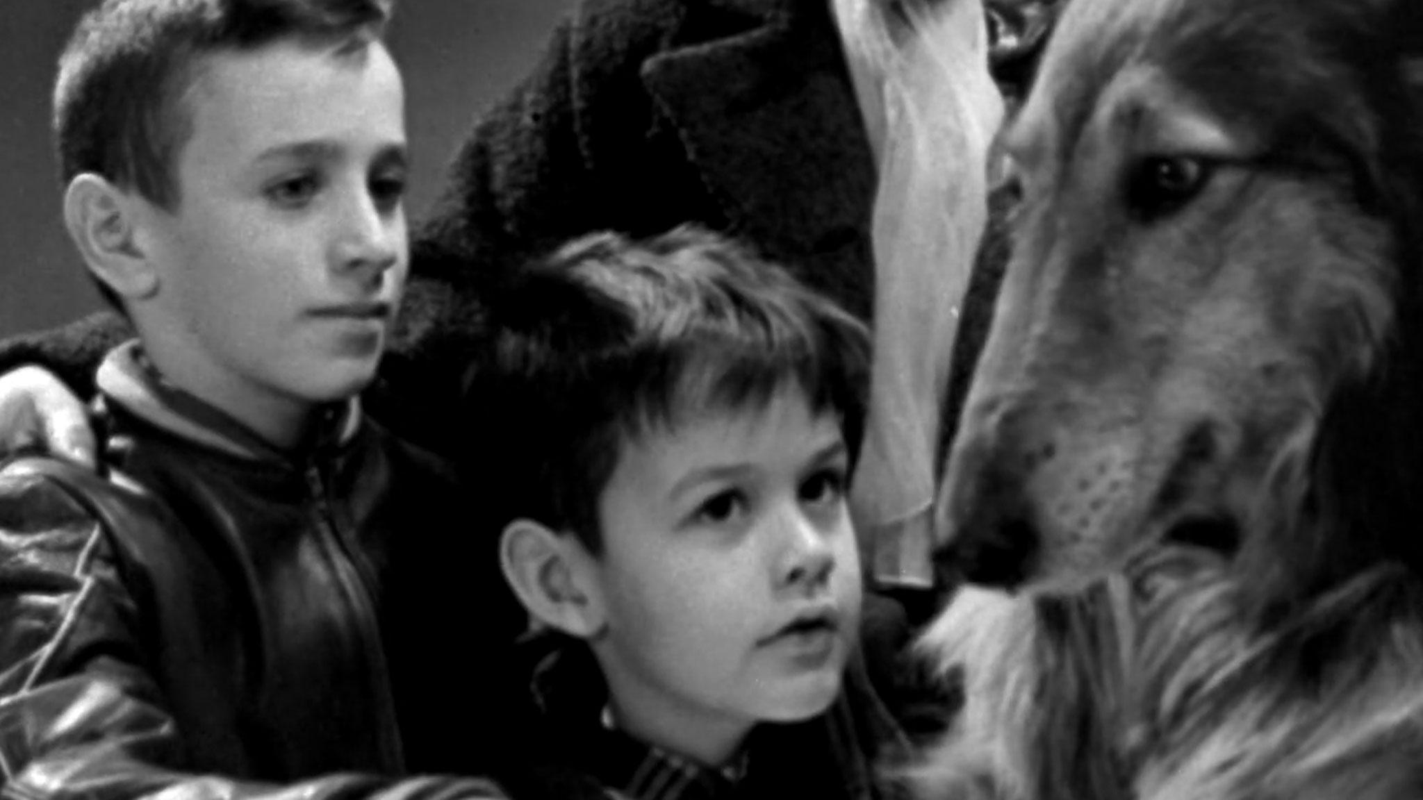 Animal Friends by - NFB