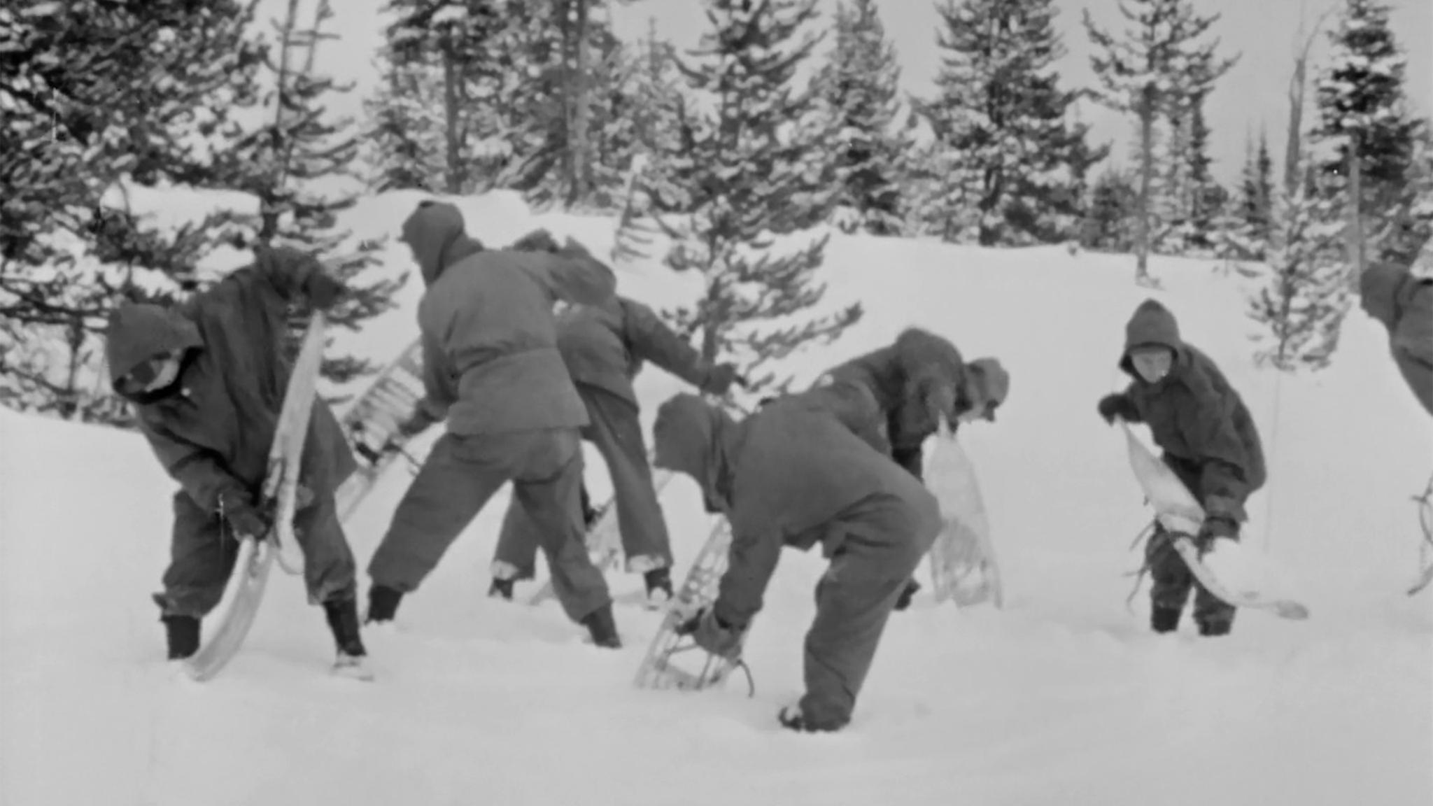 Exercise Polar Bear - NFB