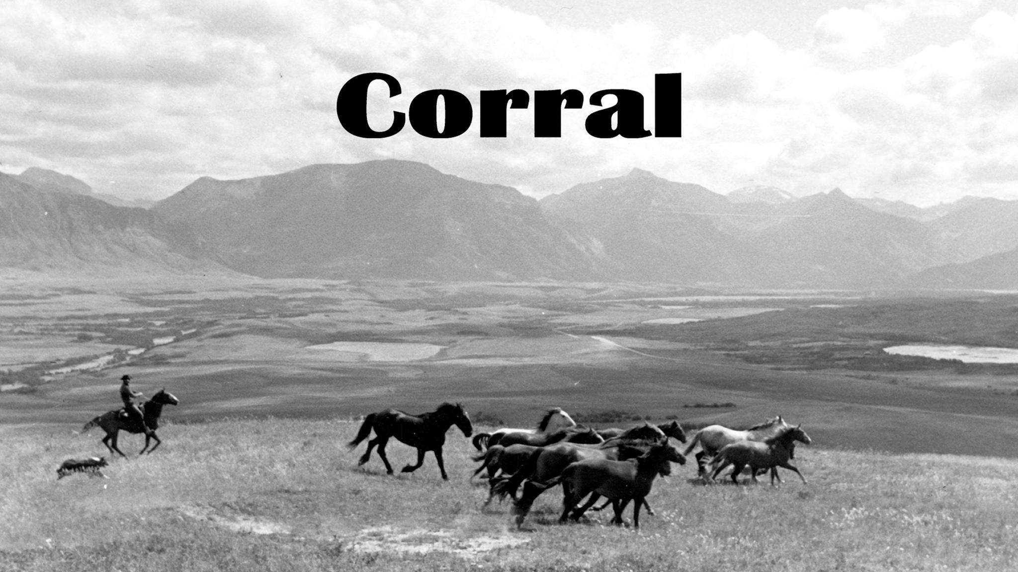 Corral White Background Corral Icon Vector Images (over 220)