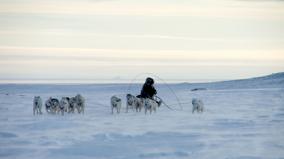 Qimmit: A Clash of Two Truths - NFB