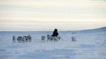 Qimmit: A Clash of Two Truths - NFB