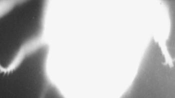 Around Perception - NFB