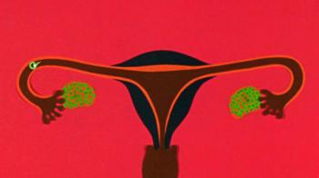 Out of the Vault - NFB