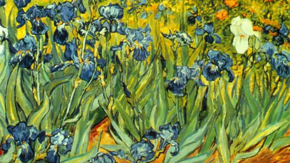 Ferron, Marcelle - ONF