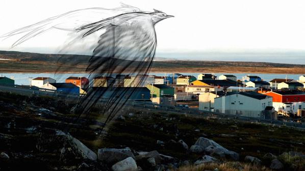 Inuuvunga - I Am Inuk, I Am Alive - NFB