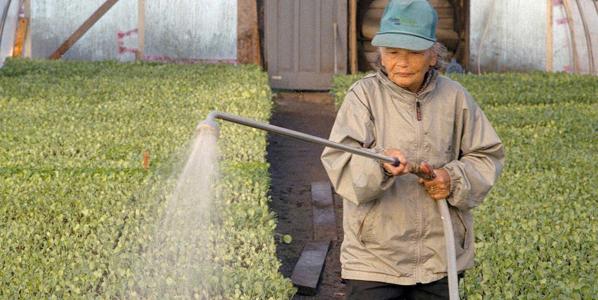 The Hutterites - NFB