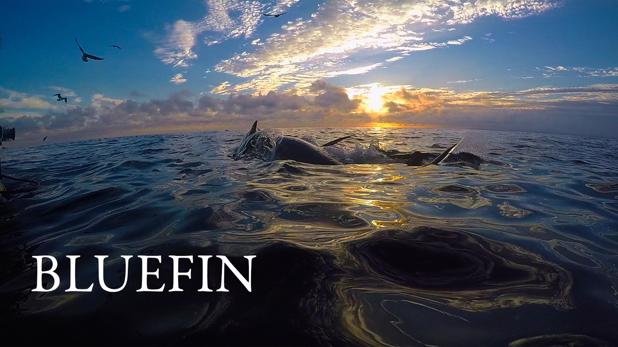 NFB Education - National Film Board of Canada