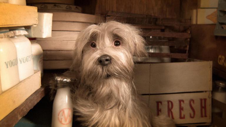 Higglety Pigglety Pop! or There Must Be More to Life by Chris Lavis ...