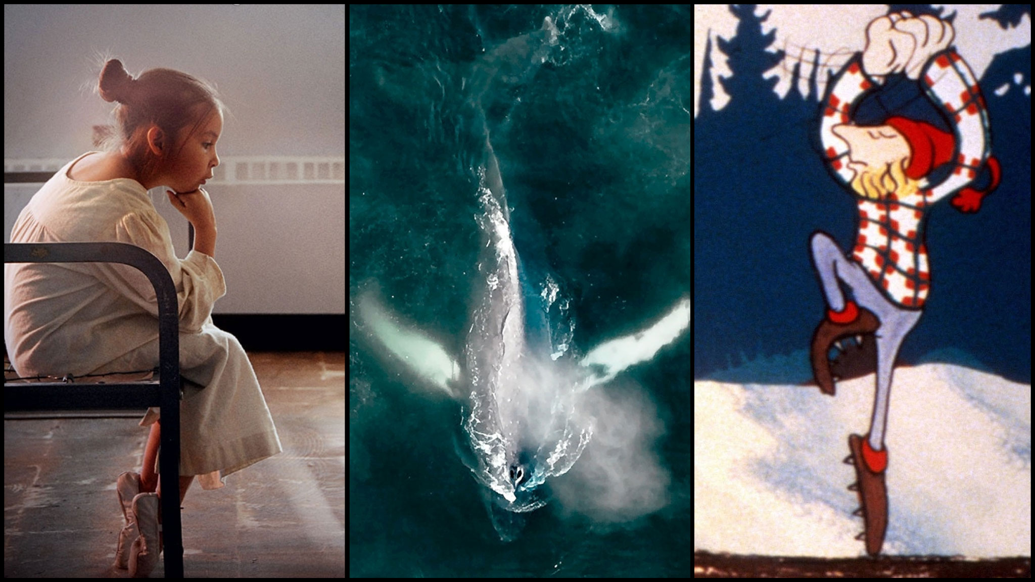 Most-Viewed Films of 2021 - NFB