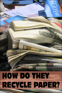 How Do They Recycle Paper? by Winston Washington Moxam - NFB