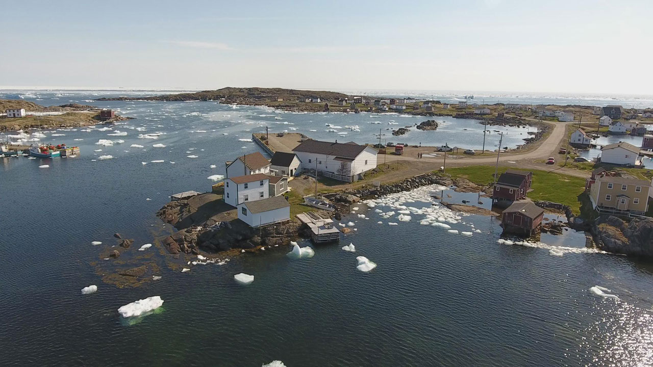 The Films of Fogo Island by Derek Norman, Jeff Webb - NFB