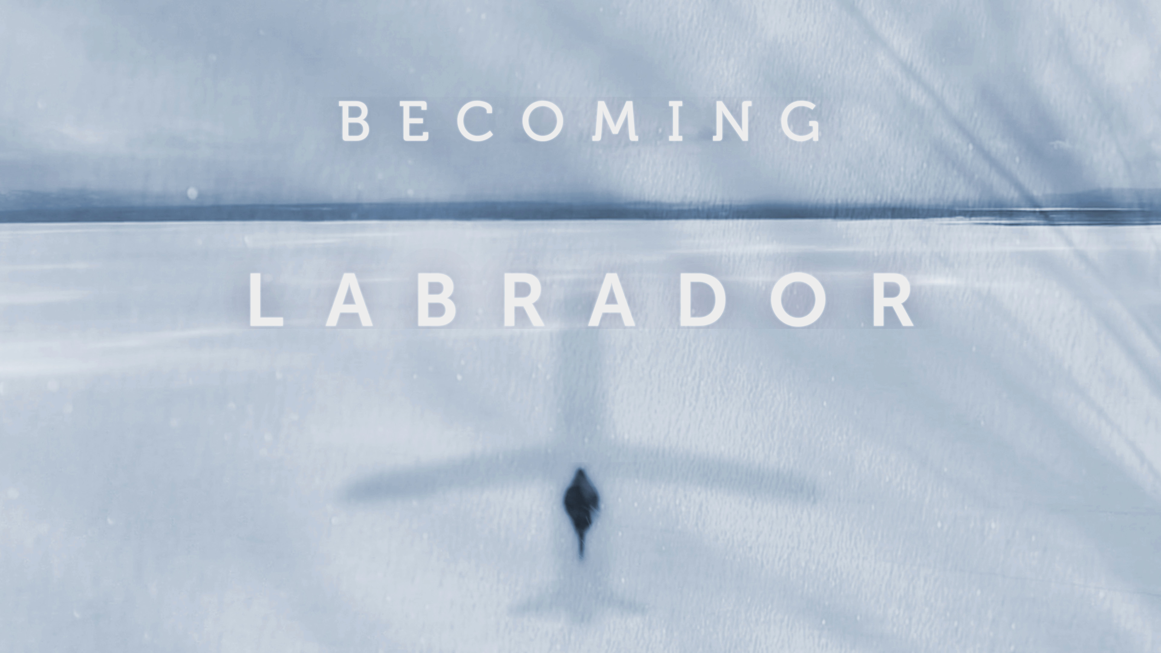 Becoming Labrador - NFB