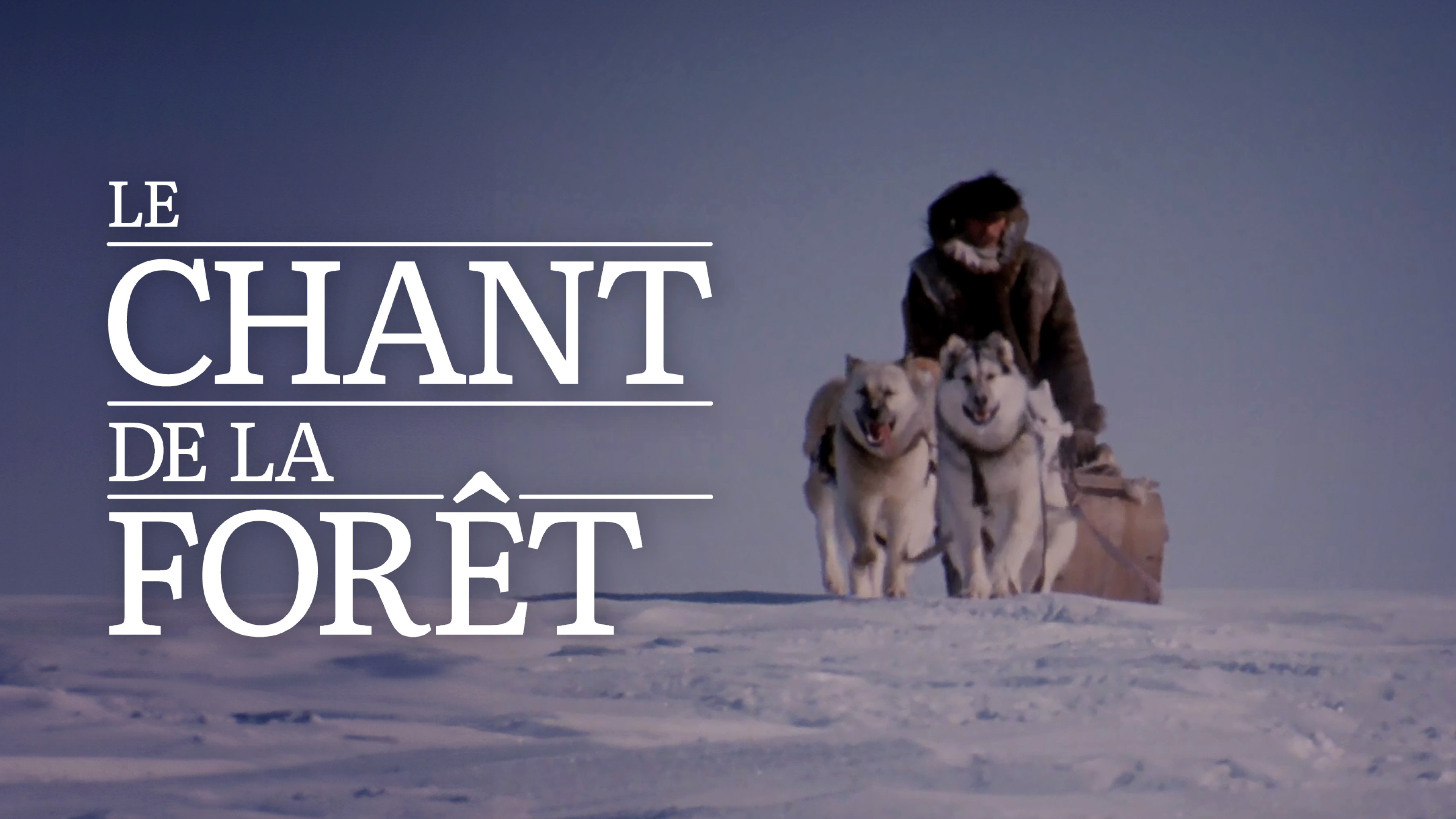 Le chant de la forêt - NFB